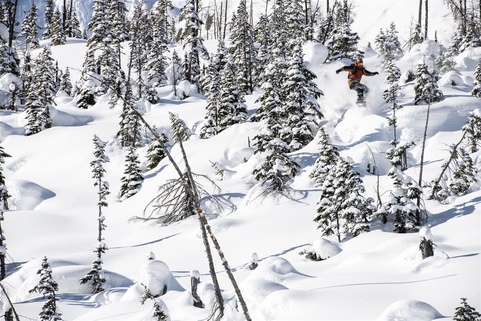 Boardriding | Travis Rice